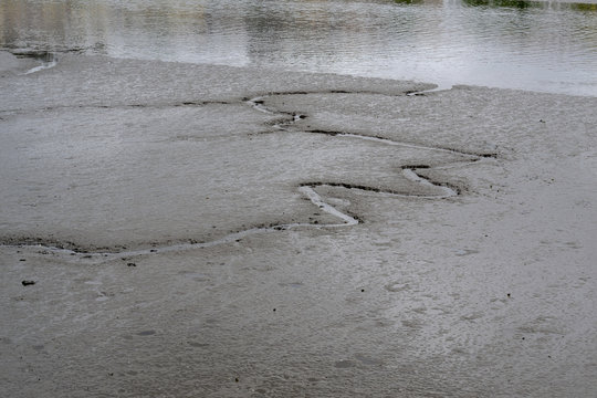 Imágenes de Empapar: descubre bancos de fotos, ilustraciones, vectores ...