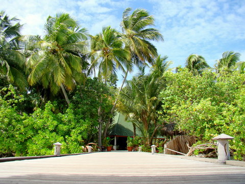 Ruh Bilder – Durchsuchen 1,464 Archivfotos, Vektorgrafiken und Videos ...