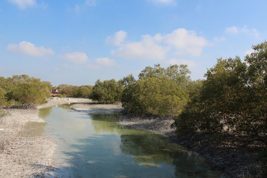 รูปภาพJubail – เลือกดูภาพถ่ายสต็อก เวกเตอร์ และวิดีโอ395 | Adobe Stock