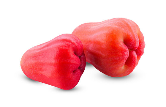 รูปภาพJamalac – เลือกดูภาพถ่ายสต็อก เวกเตอร์ และวิดีโอ2,352 | Adobe Stock