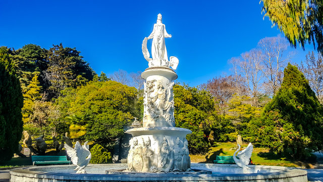 รูปภาพDendropark – เลือกดูภาพถ่ายสต็อก เวกเตอร์ และวิดีโอ434 | Adobe Stock