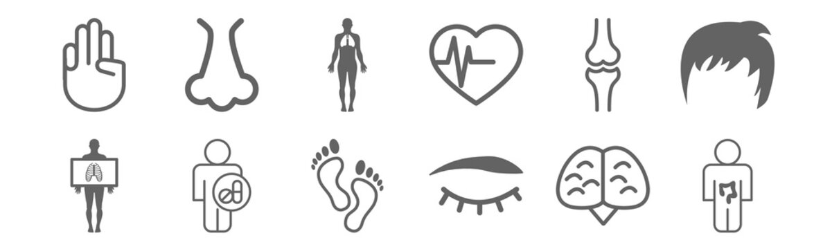 Snub-Nosed Imagens – Procure 5,885 fotos, vetores e vídeos | Adobe Stock