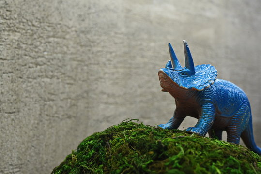 Ceratops Bilder – Durchsuchen 133 Archivfotos, Vektorgrafiken und ...