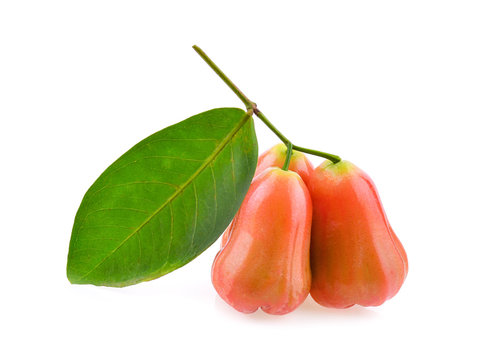 Rosoe Images – Browse 39 Stock Photos, Vectors, and Video | Adobe Stock