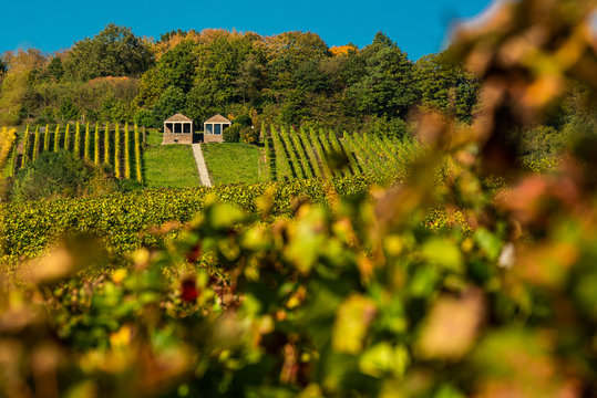 Nehren Bilder – Durchsuchen 145 Archivfotos, Vektorgrafiken und Videos ...