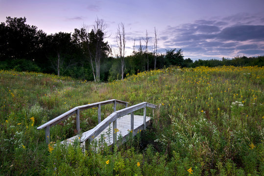 "Prairie Flowers" Images – Browse 9 Stock Photos, Vectors, and Video ...