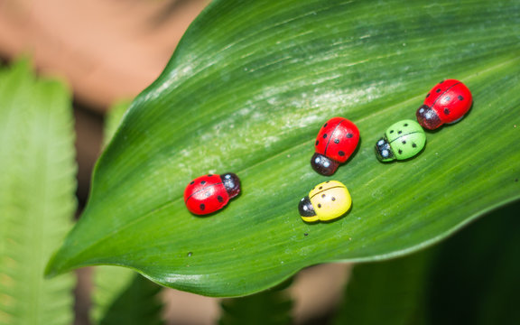 "Cute Little Ladybug" Images – Browse 118 Stock Photos, Vectors, and ...