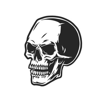 Free Skull Images – Browse 4,331 Free Stock Photos, Vectors, and Video ...