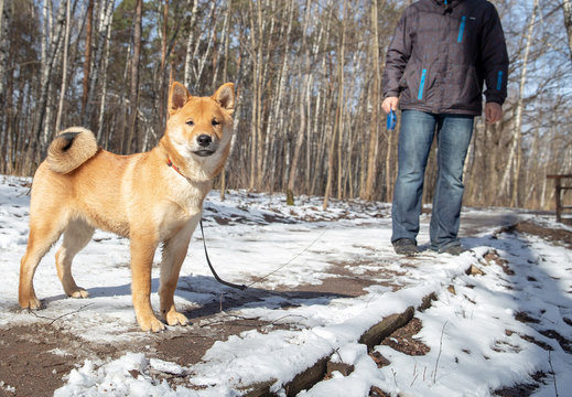 Suddenly Images – Browse 7,107 Stock Photos, Vectors, and Video | Adobe ...