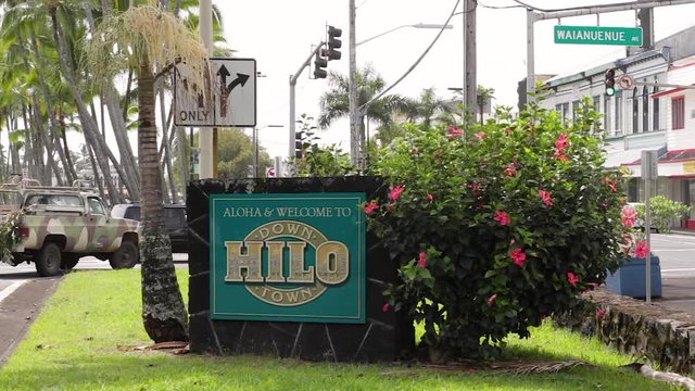 Hilo Images – Browse 10,196 Stock Photos, Vectors, and Video | Adobe Stock