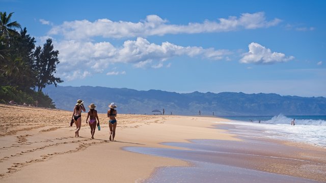 Beachwalk Images – Browse 530 Stock Photos, Vectors, and Video | Adobe ...