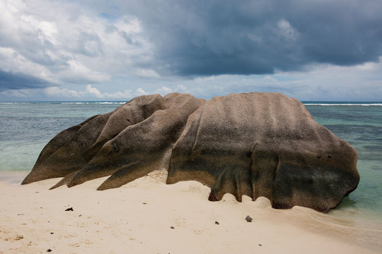 รูปภาพTropen – เลือกดูภาพถ่ายสต็อก เวกเตอร์ และวิดีโอ26,868 | Adobe Stock