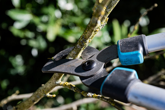 Abscheren Bilder – Durchsuchen 327 Archivfotos, Vektorgrafiken und ...