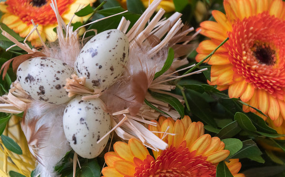 「Vogelei」の画像 - 557 件の Stock 写真、ベクターおよびビデオ | Adobe Stock