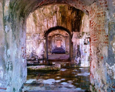 รูปภาพUlua – เลือกดูภาพถ่ายสต็อก เวกเตอร์ และวิดีโอ349 | Adobe Stock