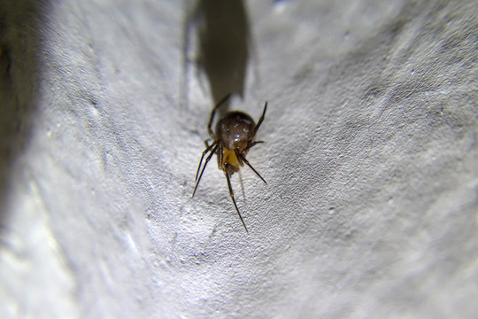 Babouk Images – Parcourir 244 le catalogue de photos, vecteurs et ...