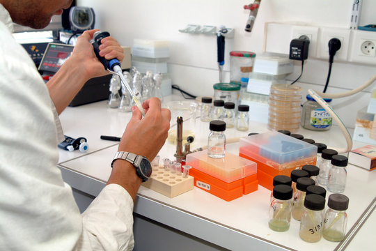 Labo-Bilder: Stock-Fotos & -Videos. | Adobe Stock