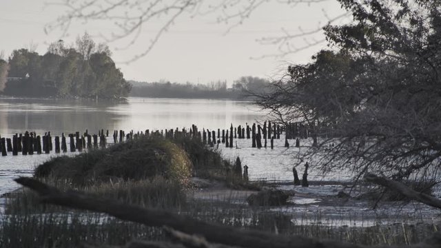 「Calmado」の写真素材 | 1,213件の無料イラスト画像 | Adobe Stock