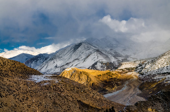 Dhumba Images – Browse 45 Stock Photos, Vectors, and Video | Adobe Stock