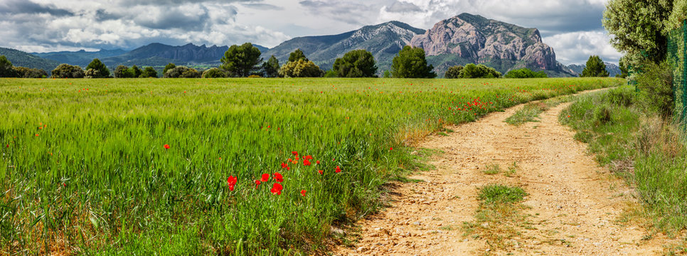 「Weg」の画像 - 260,051 件の Stock 写真、ベクターおよびビデオ | Adobe Stock