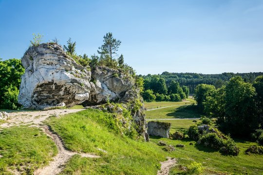 Wapienie bilder – Bläddra bland 148 stockfoton, vektorer och videor ...