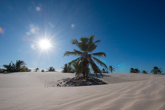 รูปภาพMangue – เลือกดูภาพถ่ายสต็อก เวกเตอร์ และวิดีโอ4,223 | Adobe Stock