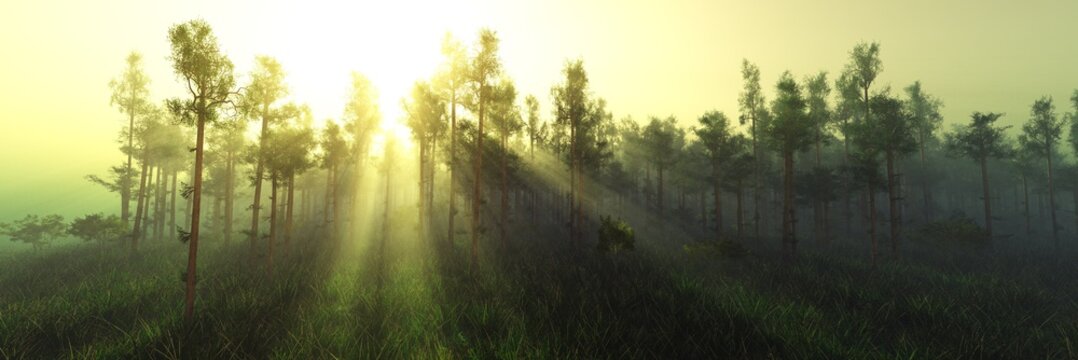 Free Light Images – Browse 83,418 Free Stock Photos, Vectors, and Video ...