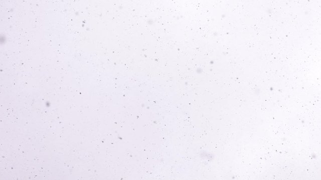 Ash Images – Browse 492,803 Stock Photos, Vectors, and Video | Adobe Stock