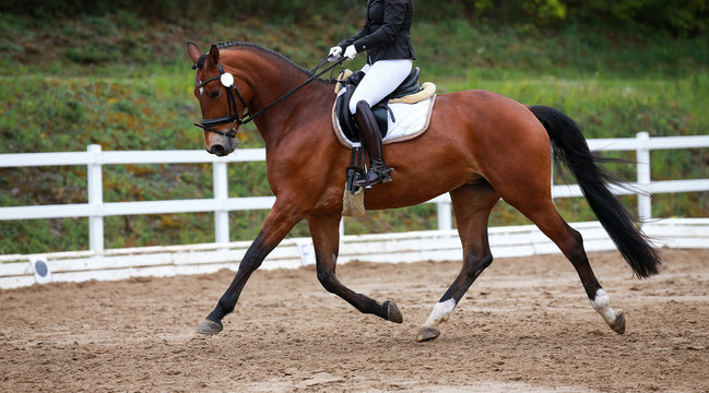 รูปภาพRenvers – เลือกดูภาพถ่ายสต็อก เวกเตอร์ และวิดีโอ242 | Adobe Stock