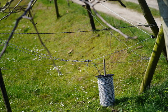 Draad Images – Browse 49 Stock Photos, Vectors, and Video | Adobe Stock