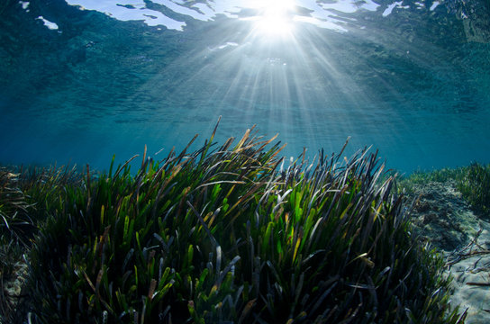 Poseidonia Images – Browse 895 Stock Photos, Vectors, and Video | Adobe ...