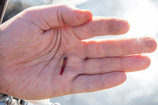 รูปภาพImpaled – เลือกดูภาพถ่ายสต็อก เวกเตอร์ และวิดีโอ6,577 | Adobe Stock