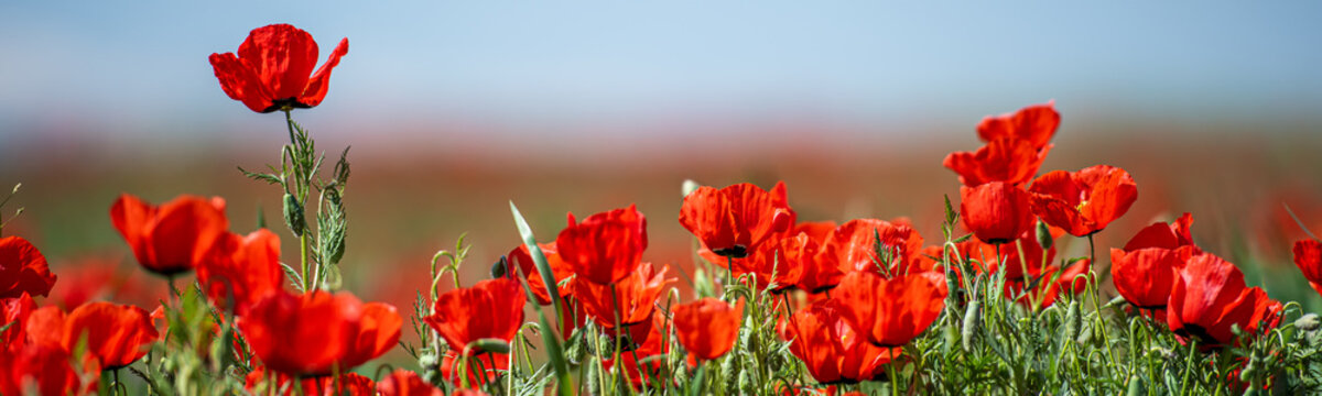 Taldy-Kurgan Bilder – Durchsuchen 1,606 Archivfotos, Vektorgrafiken und ...