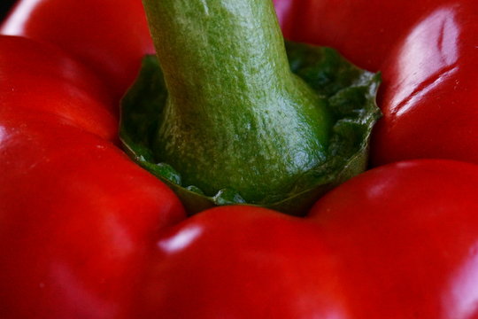 Strunk-Bilder: Stock-Fotos & -Videos. | Adobe Stock