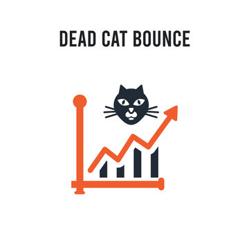 Dead Cat Bounce Memes