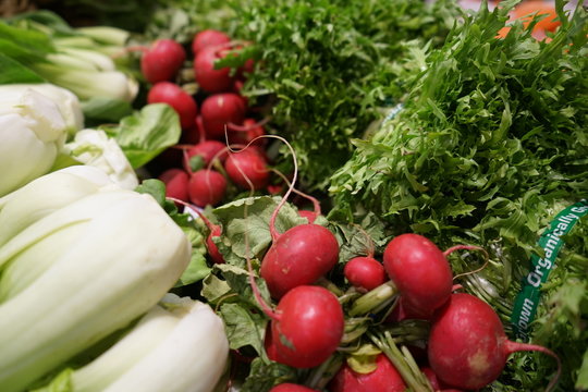 Moujik 이미지 – 찾아보기 1,785 스톡 사진, 벡터 및 비디오 | Adobe Stock