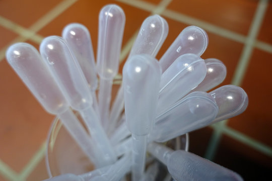 รูปภาพ"Platik – เลือกดูภาพถ่ายสต็อก เวกเตอร์ และวิดีโอ182 | Adobe Stock