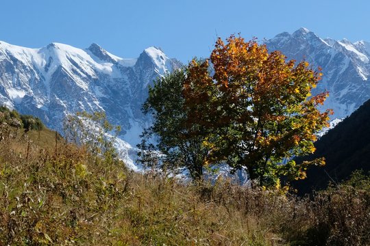 รูปภาพKhalde – เลือกดูภาพถ่ายสต็อก เวกเตอร์ และวิดีโอ65 | Adobe Stock