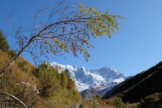 Khalde Images – Browse 66 Stock Photos, Vectors, and Video | Adobe Stock