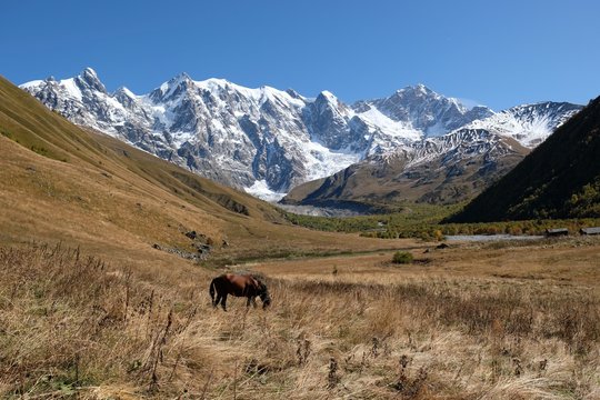 Khalde Images – Browse 66 Stock Photos, Vectors, and Video | Adobe Stock