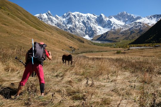 Khalde Images – Browse 66 Stock Photos, Vectors, and Video | Adobe Stock