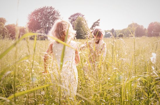 Graspollen Bilder – Durchsuchen 5,326 Archivfotos, Vektorgrafiken und ...
