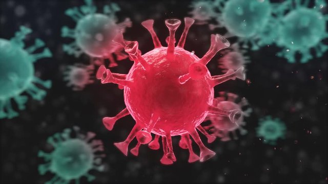 Bloodcells bilder – Bläddra bland 380 stockfoton, vektorer och videor | Adobe Stock