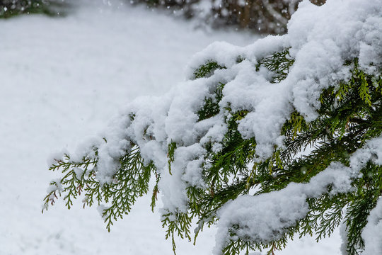 รูปภาพSchneeschauer – เลือกดูภาพถ่ายสต็อก เวกเตอร์ และวิดีโอ297 | Adobe ...