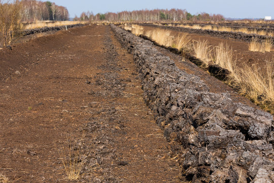 Torf bilder – Bläddra bland 4,249 stockfoton, vektorer och videor ...