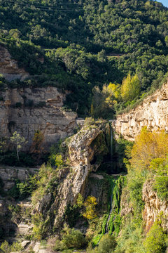 Bigus Bilder – Durchsuchen 235 Archivfotos, Vektorgrafiken und Videos ...