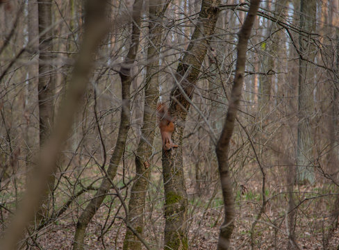 Boyarka Bilder – Durchsuchen 143 Archivfotos, Vektorgrafiken und Videos ...