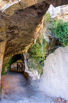 Bigus Bilder – Durchsuchen 235 Archivfotos, Vektorgrafiken und Videos ...