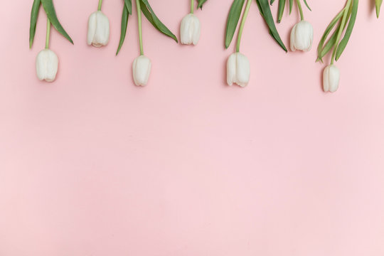 Pink Blogspot Background