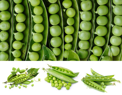 Erbse bilder – Bläddra bland 5,181 stockfoton, vektorer och videor ...